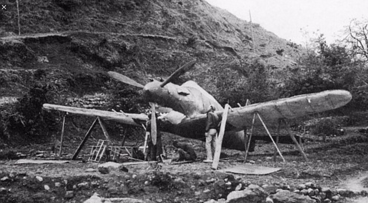 P40 Flying Tiger Decoy | THE FLYING TIGERS | JOHNNIE PETACH